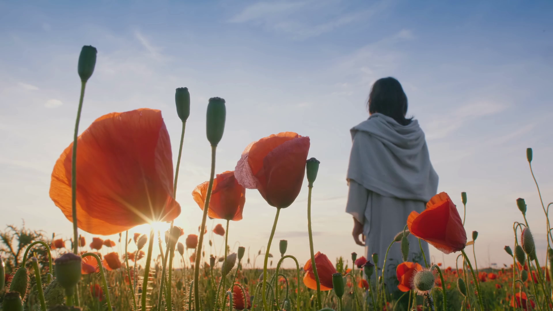 Christ Praying With Raised Hands In Poppy Stock Footage SBV-348260290 ...