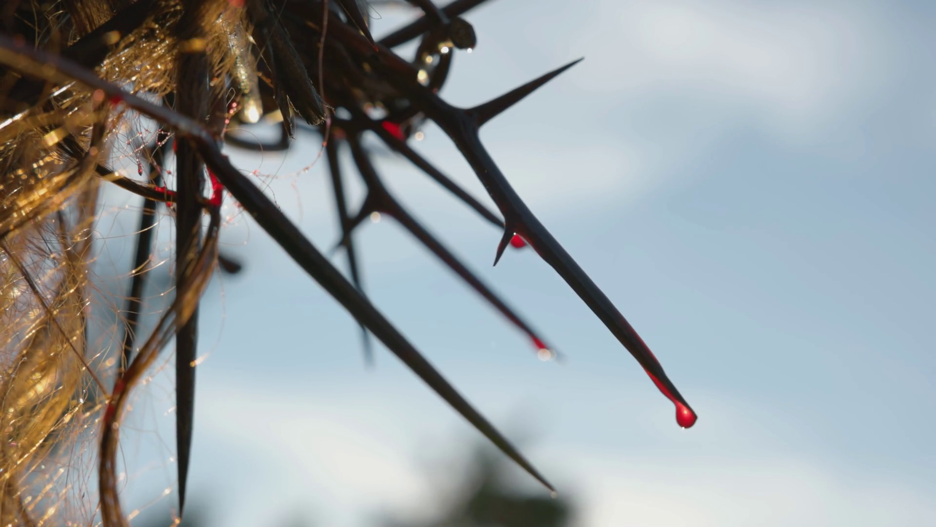 Crown Of Jesus With Blood Dripping Stock Footage SBV-347747721 ...