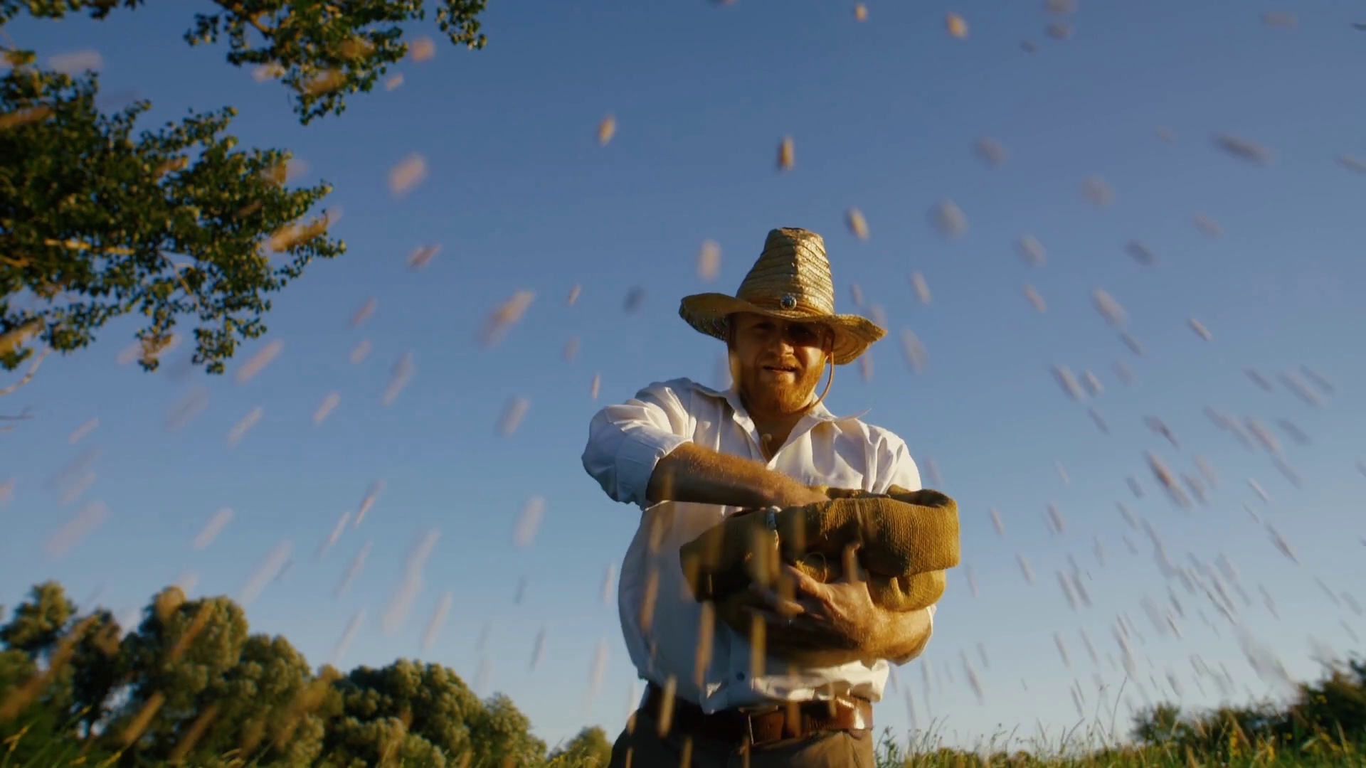 Farmer Sowing Wheat On Field - Super Slow Stock Footage SBV-338662047 ...