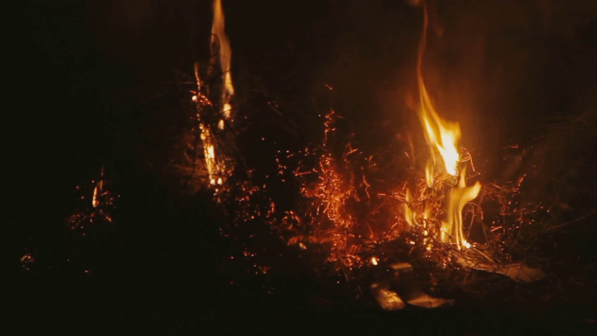 Fire On Field Burning Dry Grass At Night Stock Footage SBV-321257231 ...