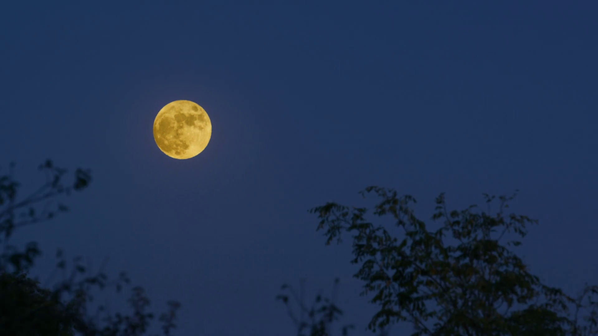 Full Moon On Blue Sky Background Stock Footage SBV-319150692 - Storyblocks