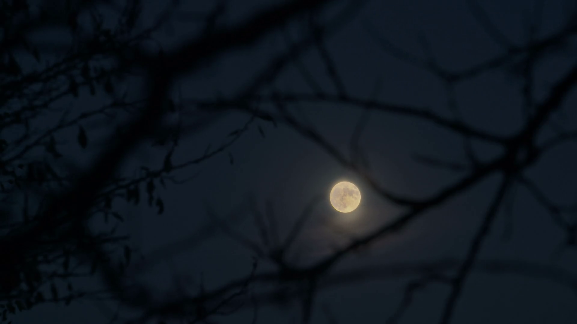 Full Moon Rising - Time Lapse Stock Footage SBV-319150676 - Storyblocks