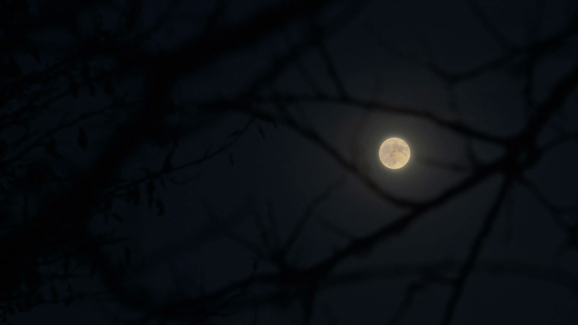 Full moon rising - time lapse Stock Video Footage - Storyblocks
