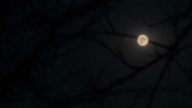 4k Full Moon Timelapse Stock Footage: Royalty-Free Video Clips ...