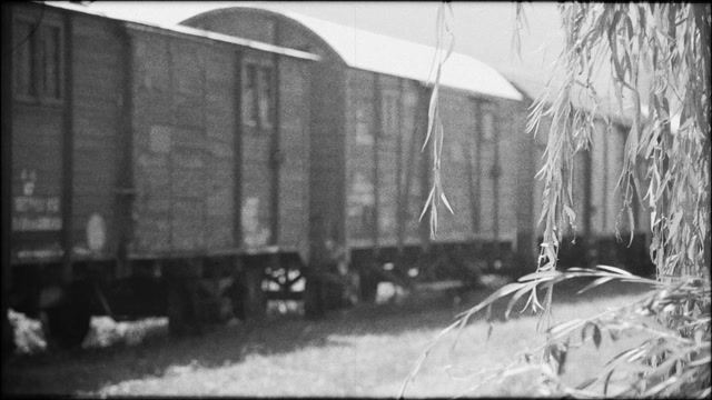 Holocaust Train Stock Footage: Royalty-Free Video Clips - Storyblocks