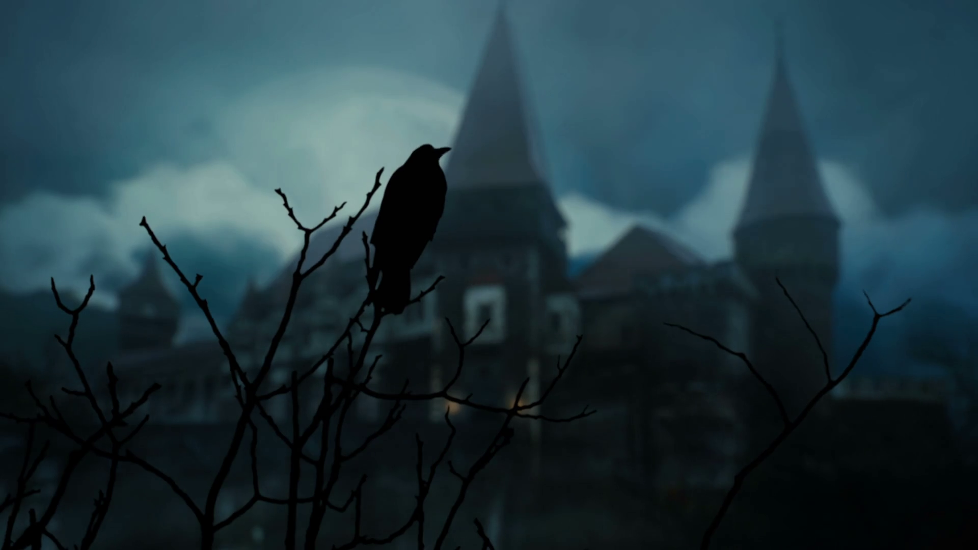 Old Medieval Castle At Night With Crow In Stock Footage SBV-321257815 ...