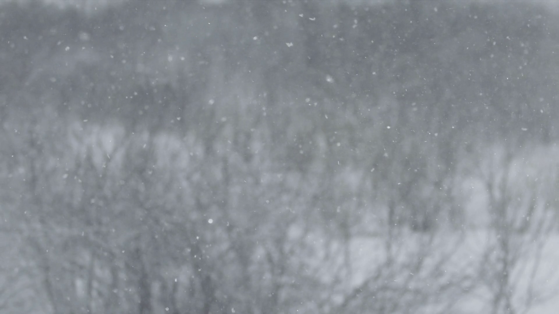 Real Falling Snow On Winter Nature Stock Footage SBV-329734336 ...