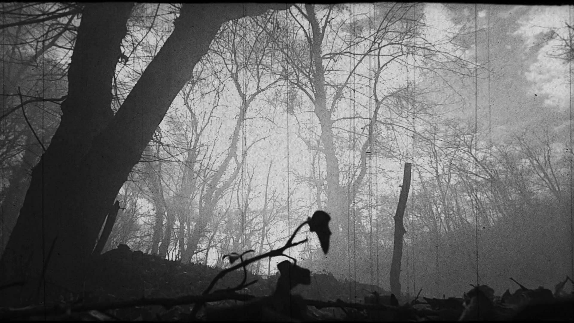 Romanian Soldiers Fight In Misty Forest - Stock Footage SBV-338168394 ...