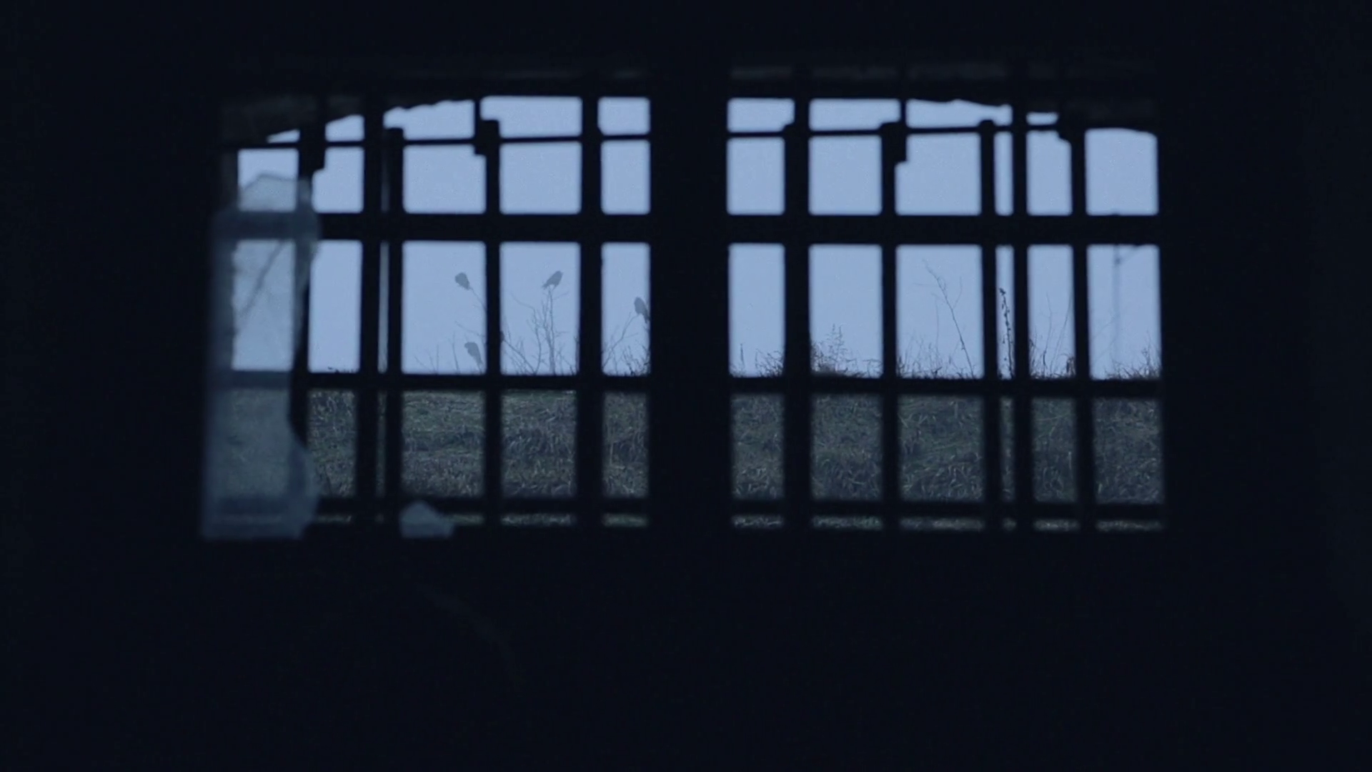 Window Lattice In Prison Cell With Crows In Stock Footage SBV-307043790 ...