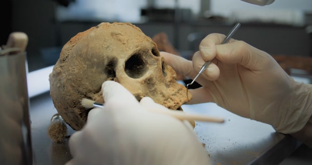 Skull Lab Stock Footage: Royalty-Free Video Clips - Storyblocks