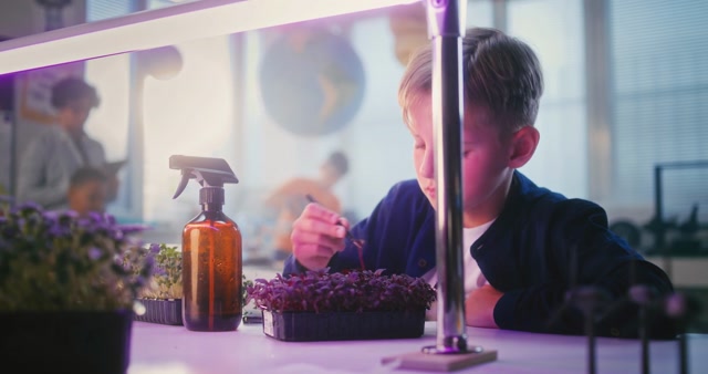 Student Experiment Stock Footage: Royalty-Free Video Clips - Storyblocks