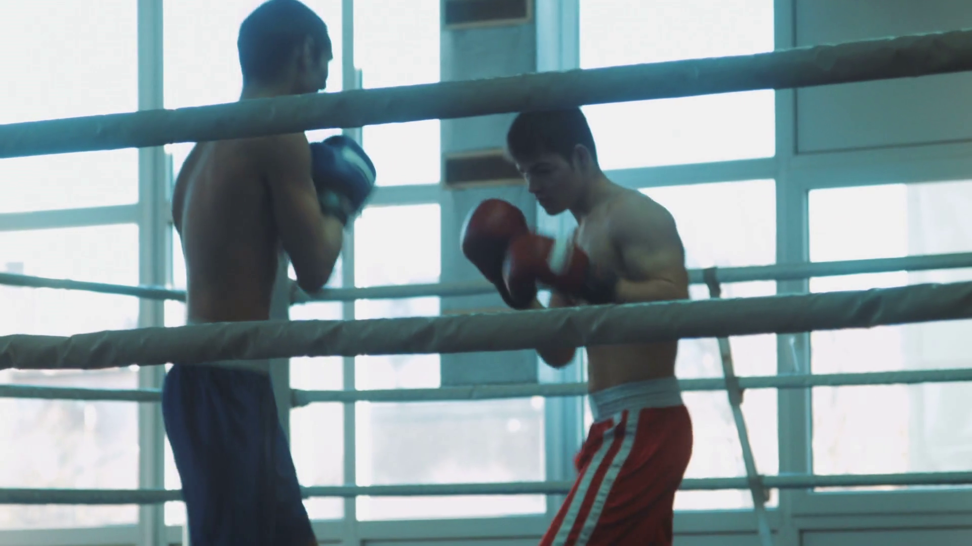 Training Sparring Of Two Boxers On Ring Stock Footage SBV-304458119 ...