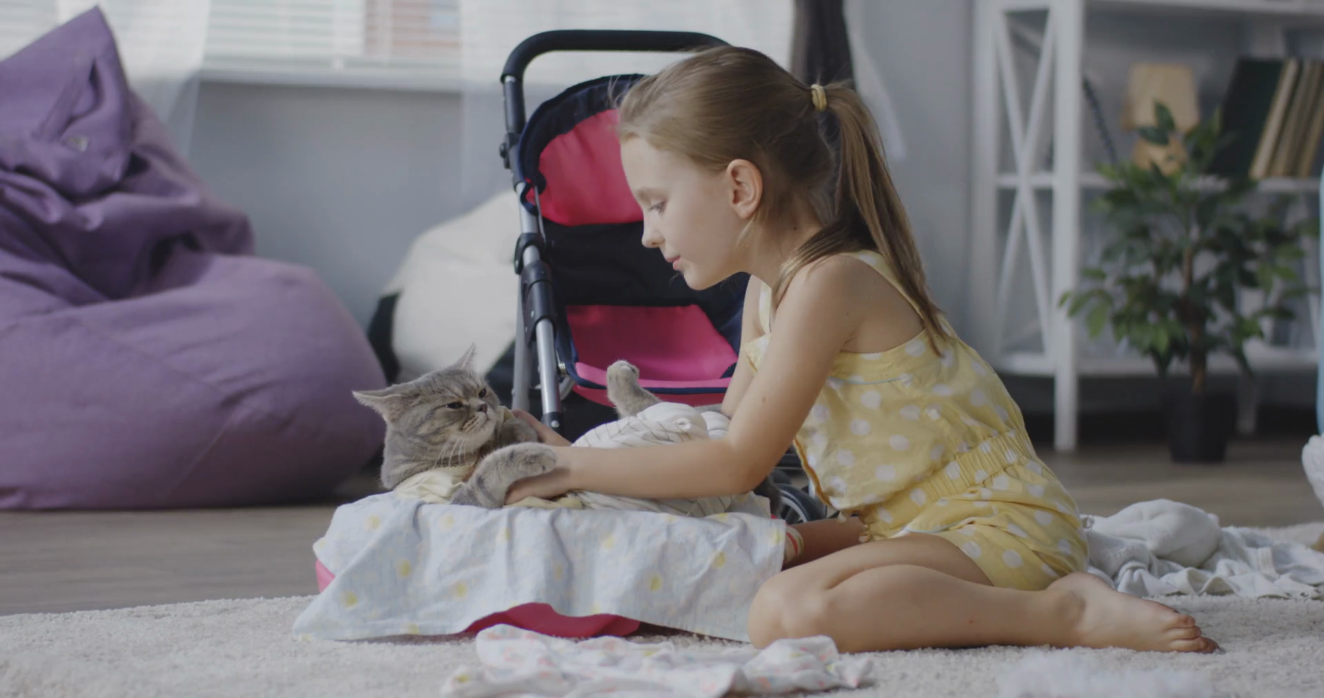 Full Shot Of Girl Pampering Cat Stock Footage SBV-336692319 - Storyblocks