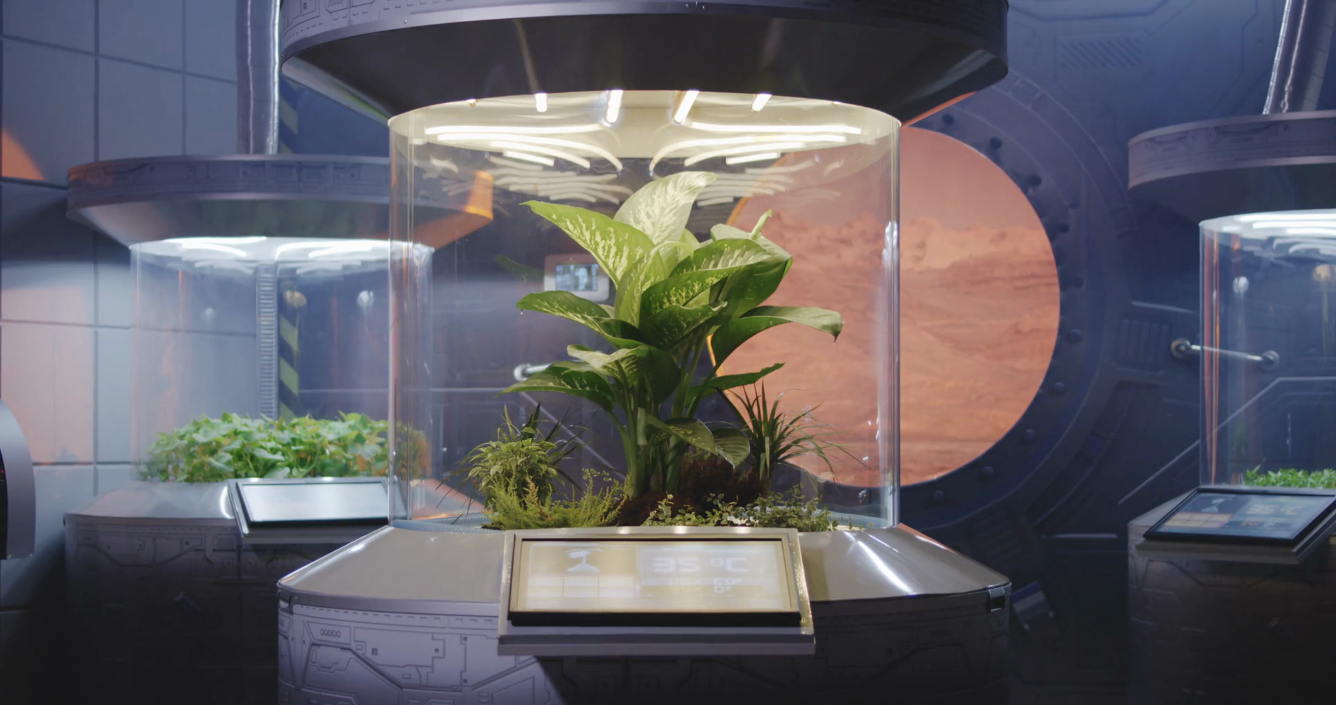 Full Shot Of Plant Incubators In Laboratory Stock Footage SBV-337747788 ...