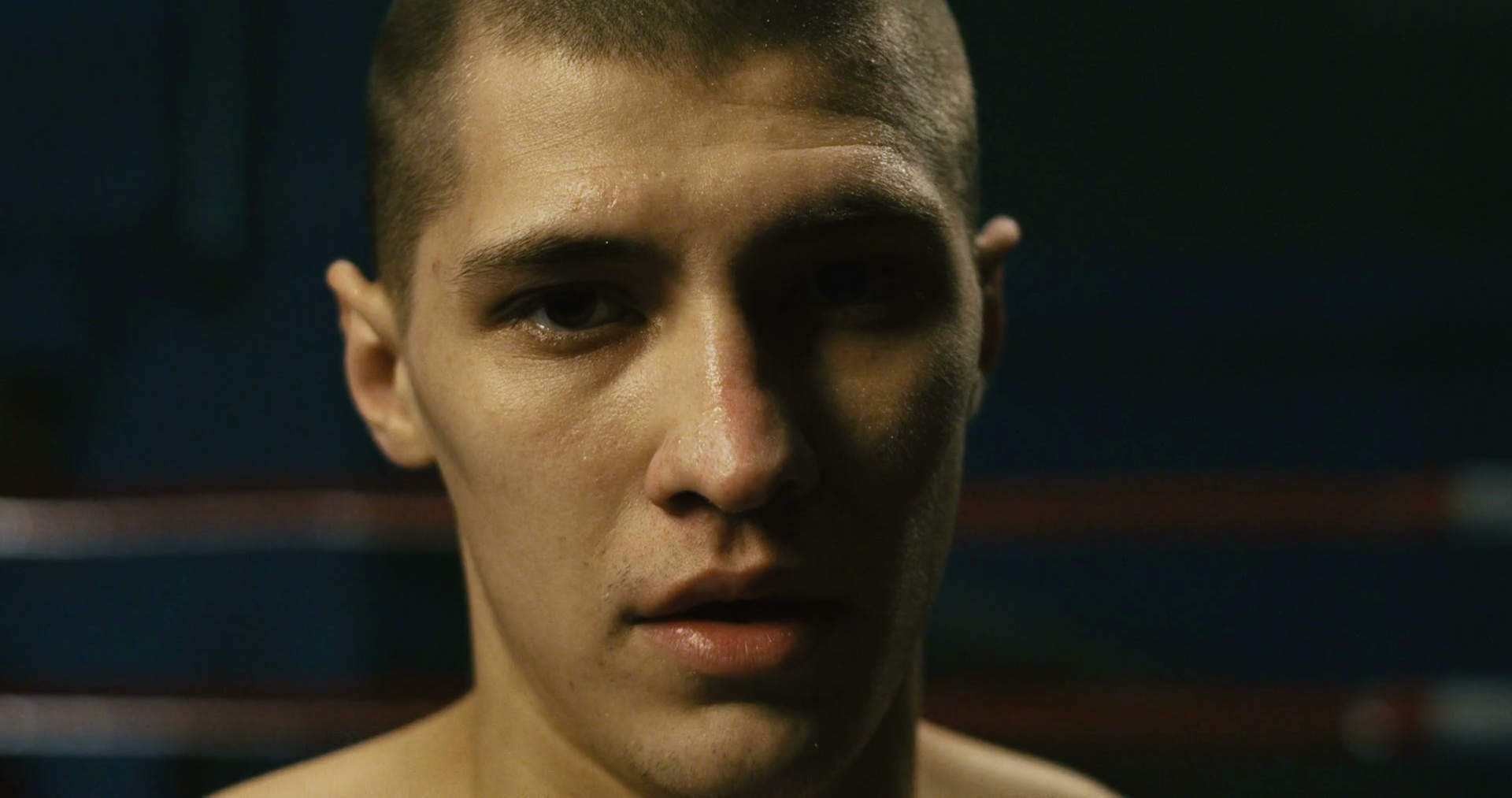 Focused Young Man On Boxing Ring Stock Footage SBV-322220991 - Storyblocks