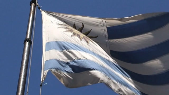 Latin America Flag Stock Footage: Royalty-Free Video Clips - Storyblocks