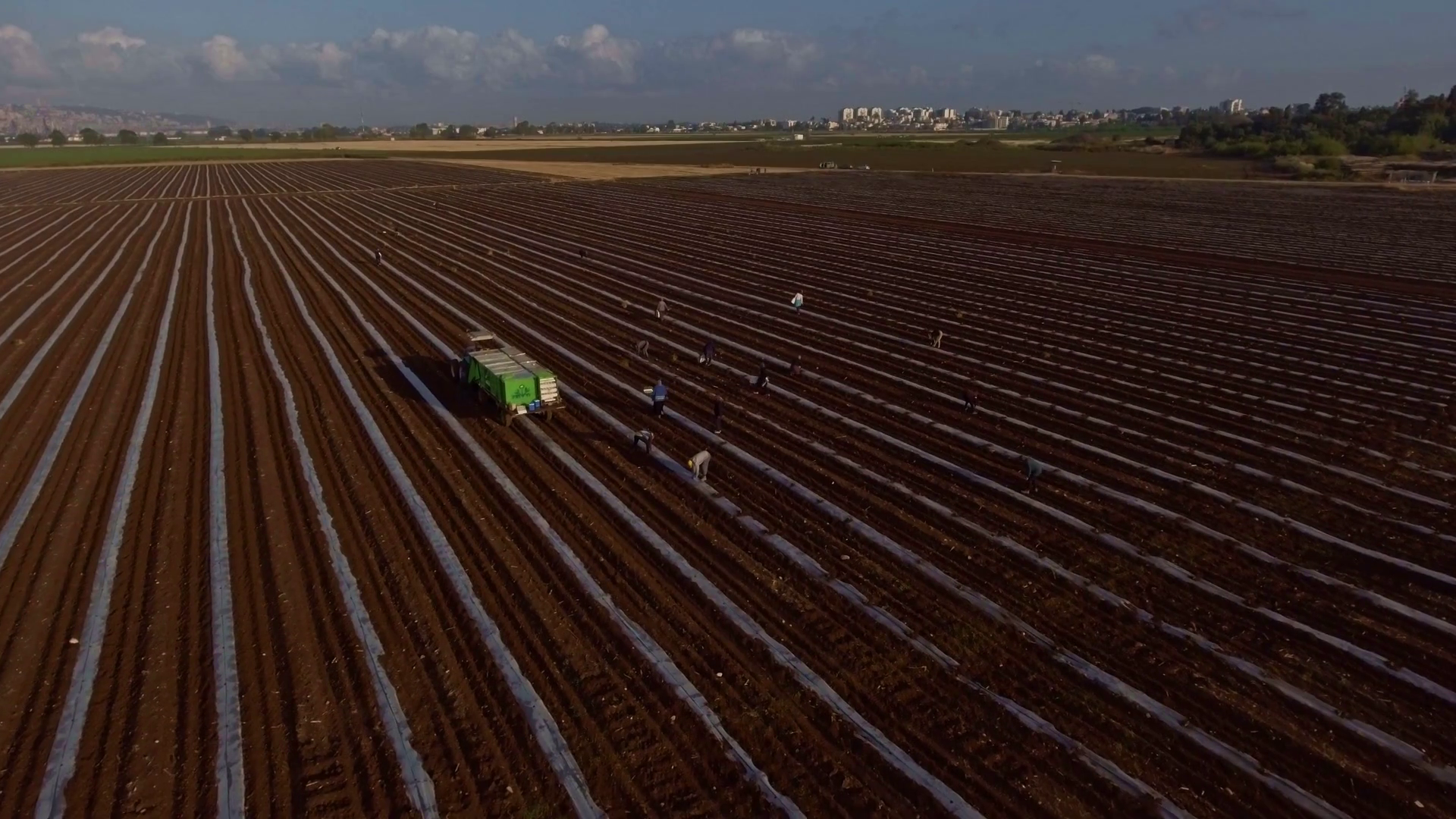 Aerial Footage Of Farm Workers Working In Stock Footage SBV-322953525 ...