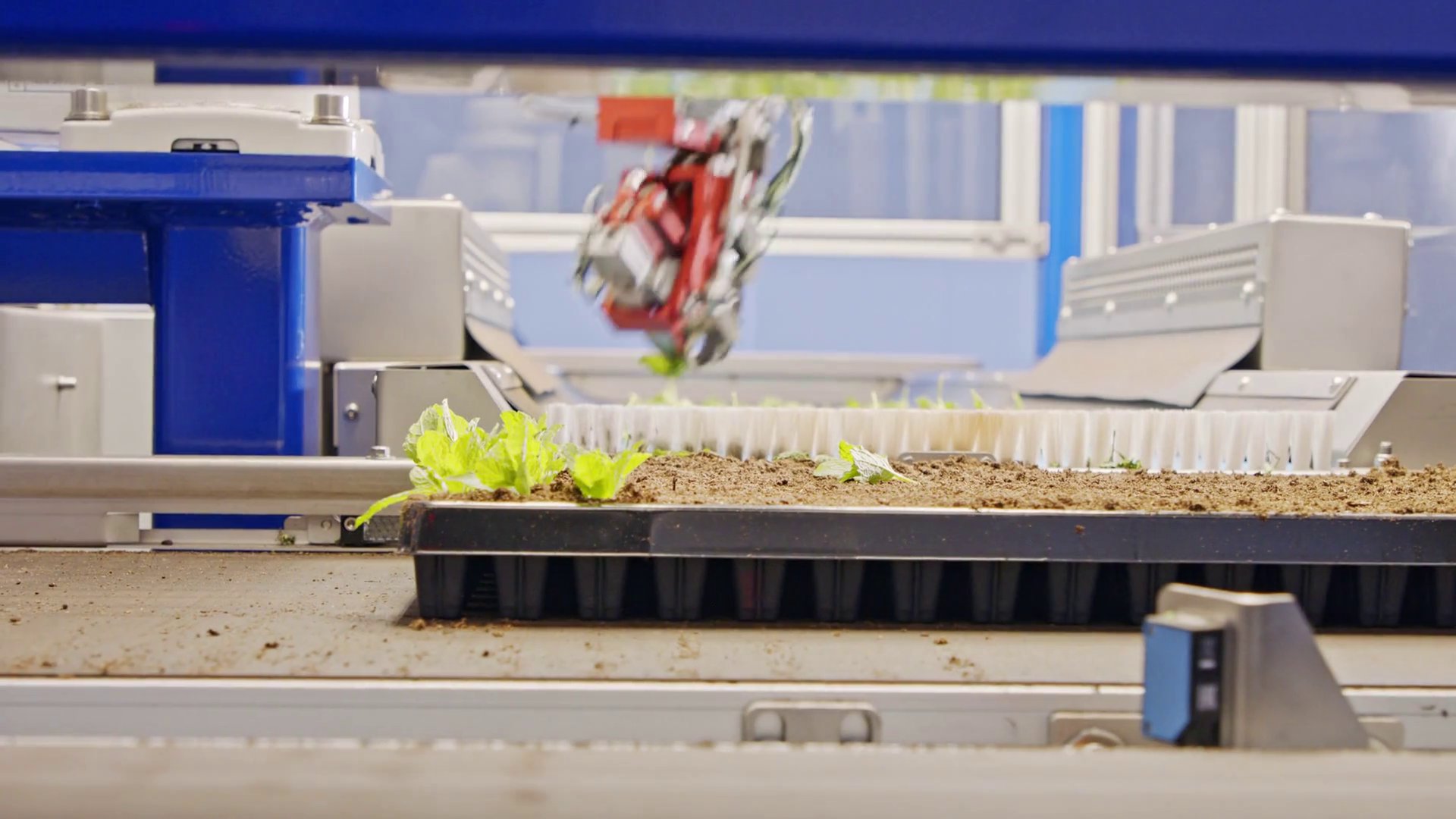 Automated Planting Process Using Advanced Stock Footage SBV-338527408 ...