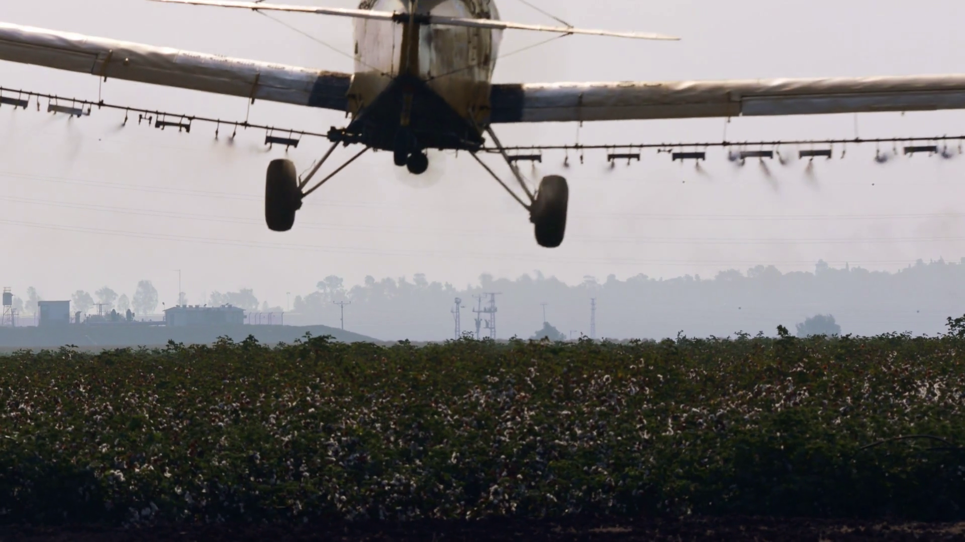 Crop Duster Spraying Chemicals Over Cotton Stock Footage SBV-327745437 ...