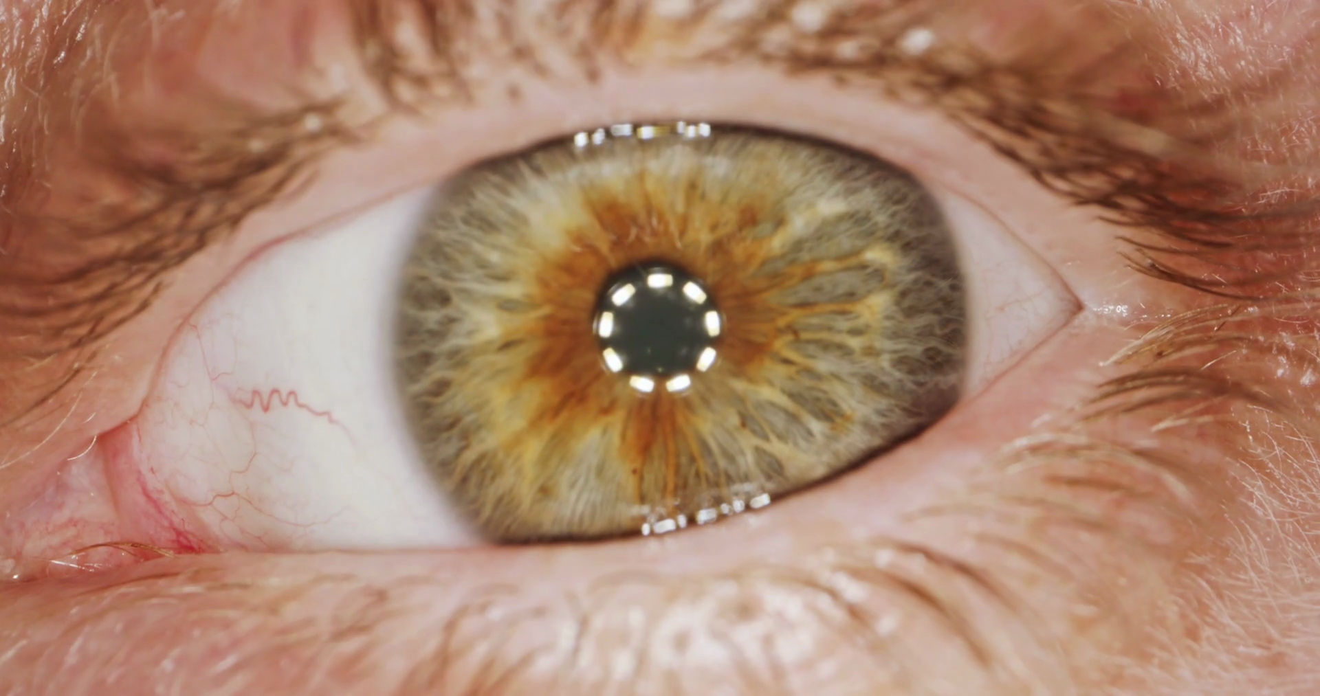 Extreme Macro Shot Of Brown Human Eye Stock Footage SBV-333181317 ...