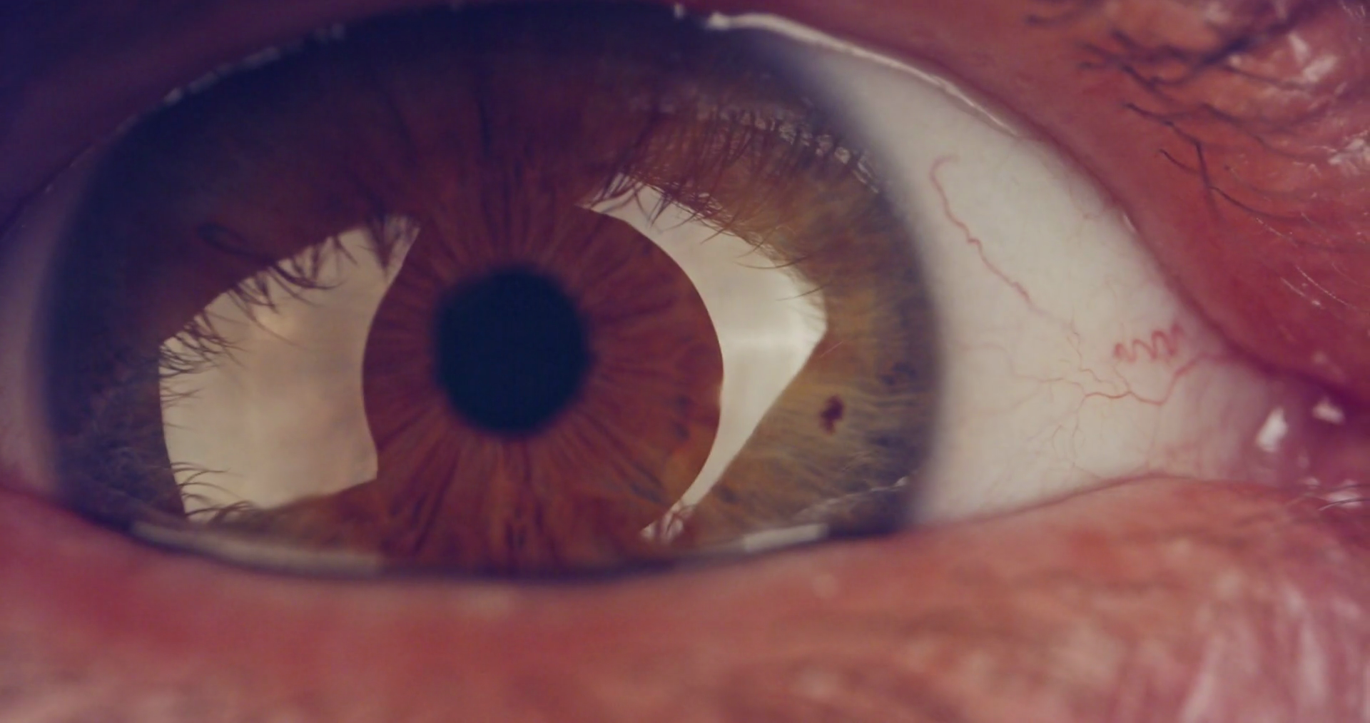 Extreme Macro Shot Of Brown Human Eye Stock Footage SBV-333181562 ...