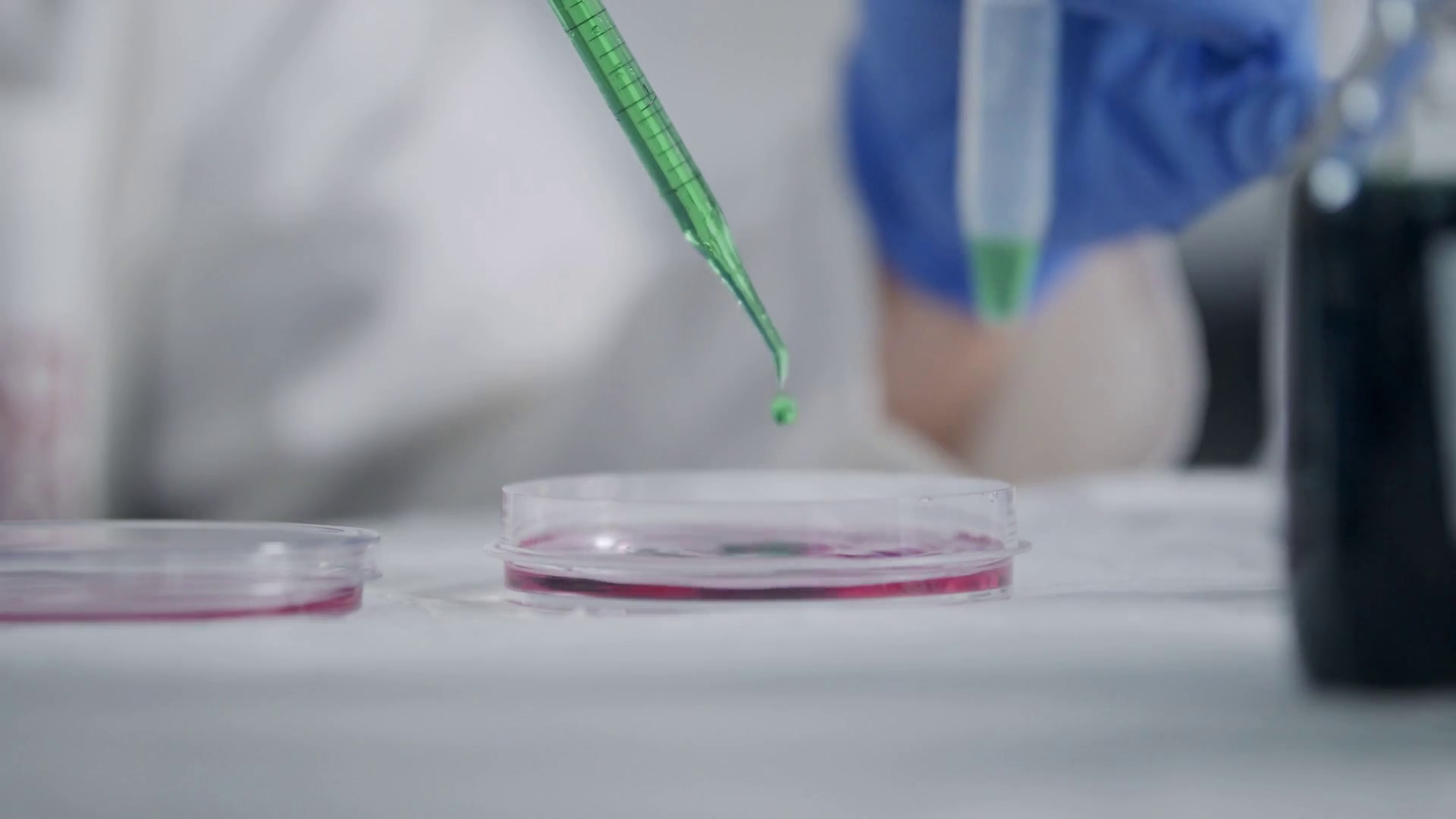 Medical Cannabis Drop Falling Into Petri Stock Footage SBV-338246875 ...