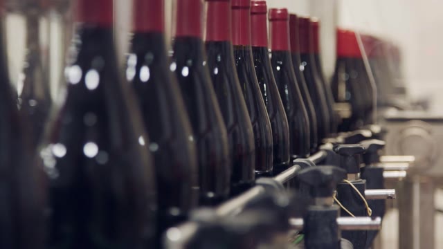 Wine | Technology stock footage - Storyblocks