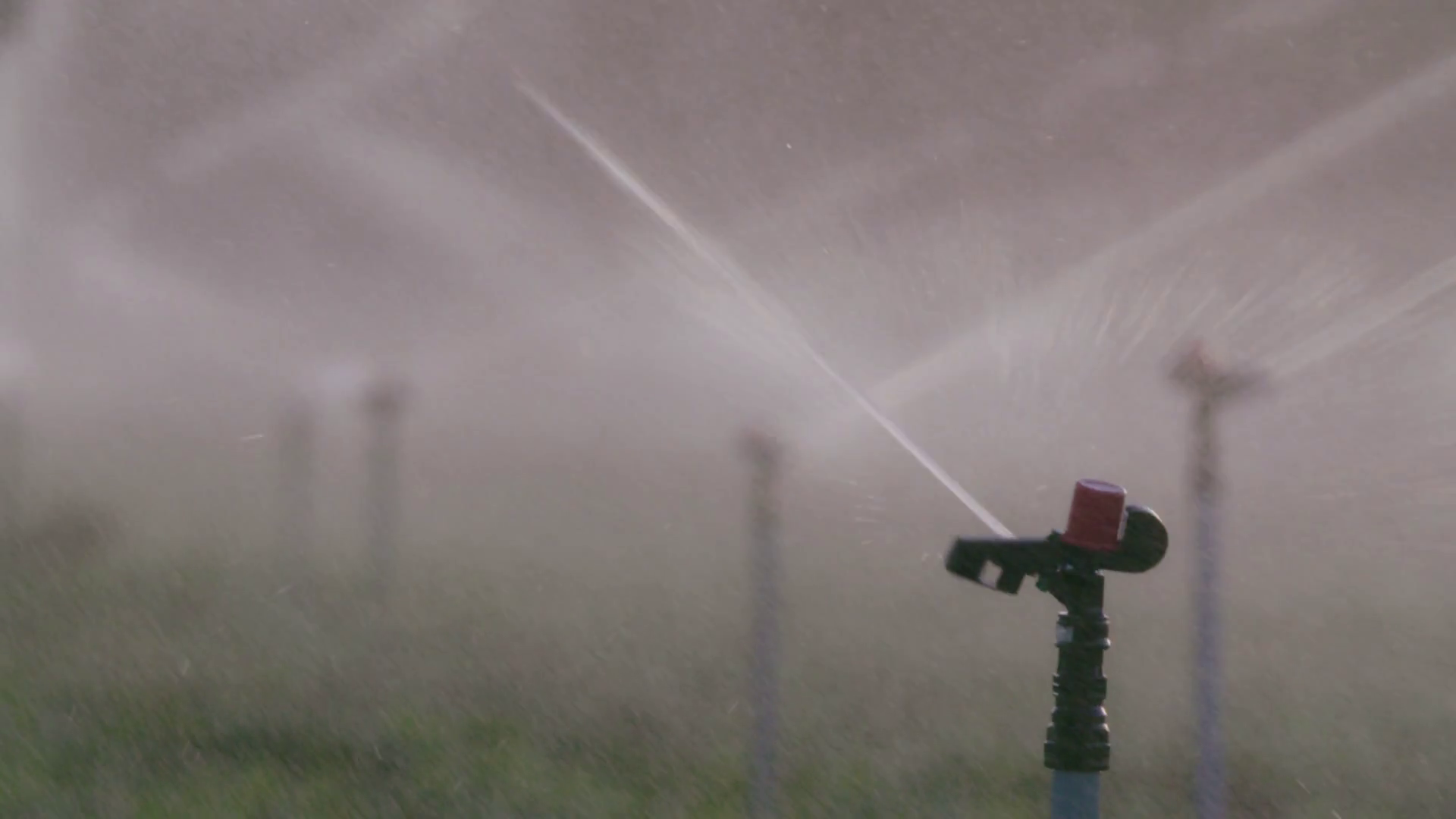 Slow Motion Of Impact Sprinklers Irrigating Stock Footage SBV-329067815 ...