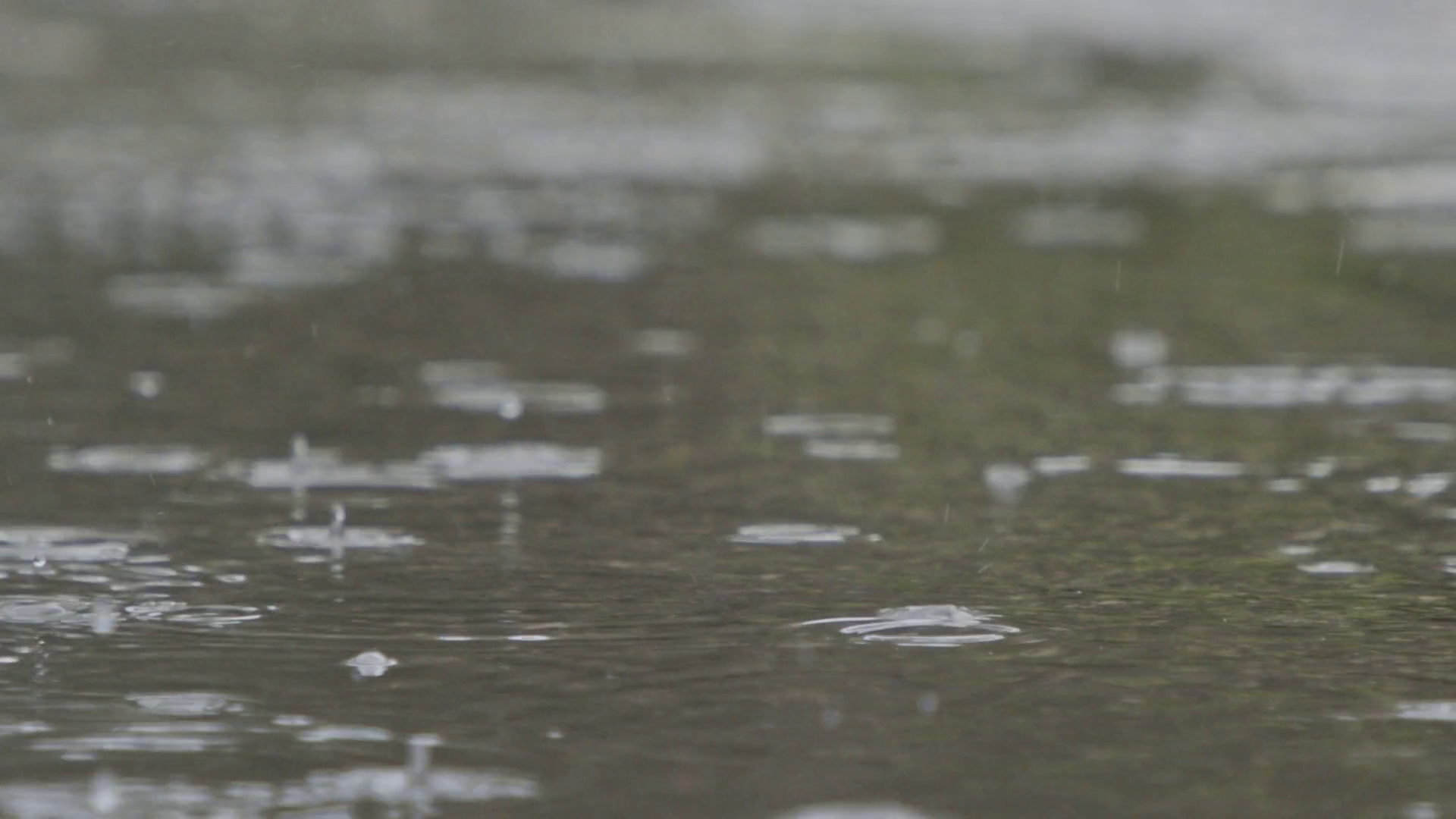 Slow Motion Of Rain Drops Falling Into Water Stock Footage SBV ...