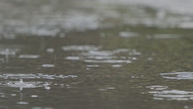 Droplets Falling In The Puddle In 4k Stock Footage: Royalty-Free Video ...
