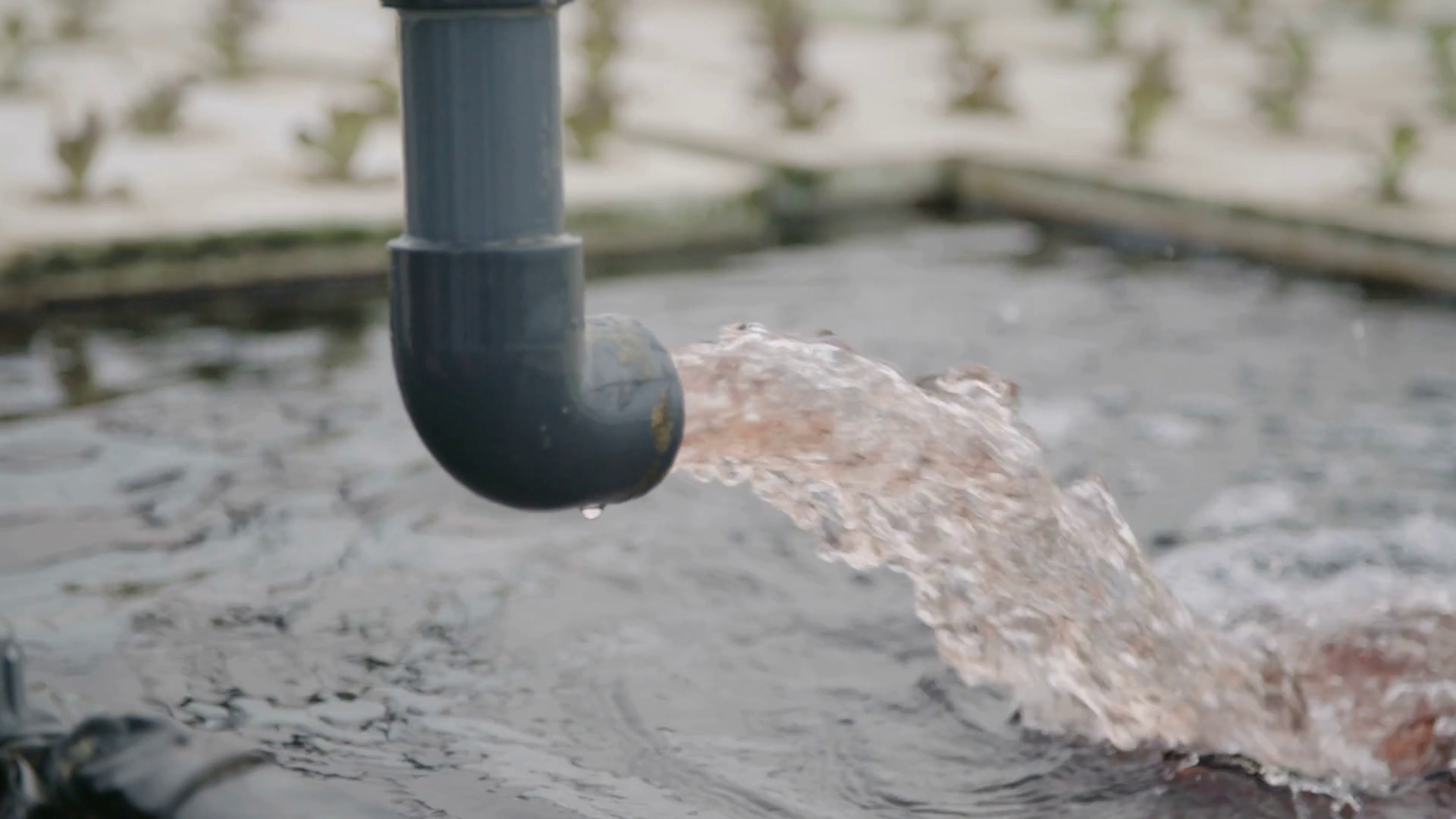 Slow Motion Of Water Hose In Hydrophonic Stock Footage SBV-319876171 ...