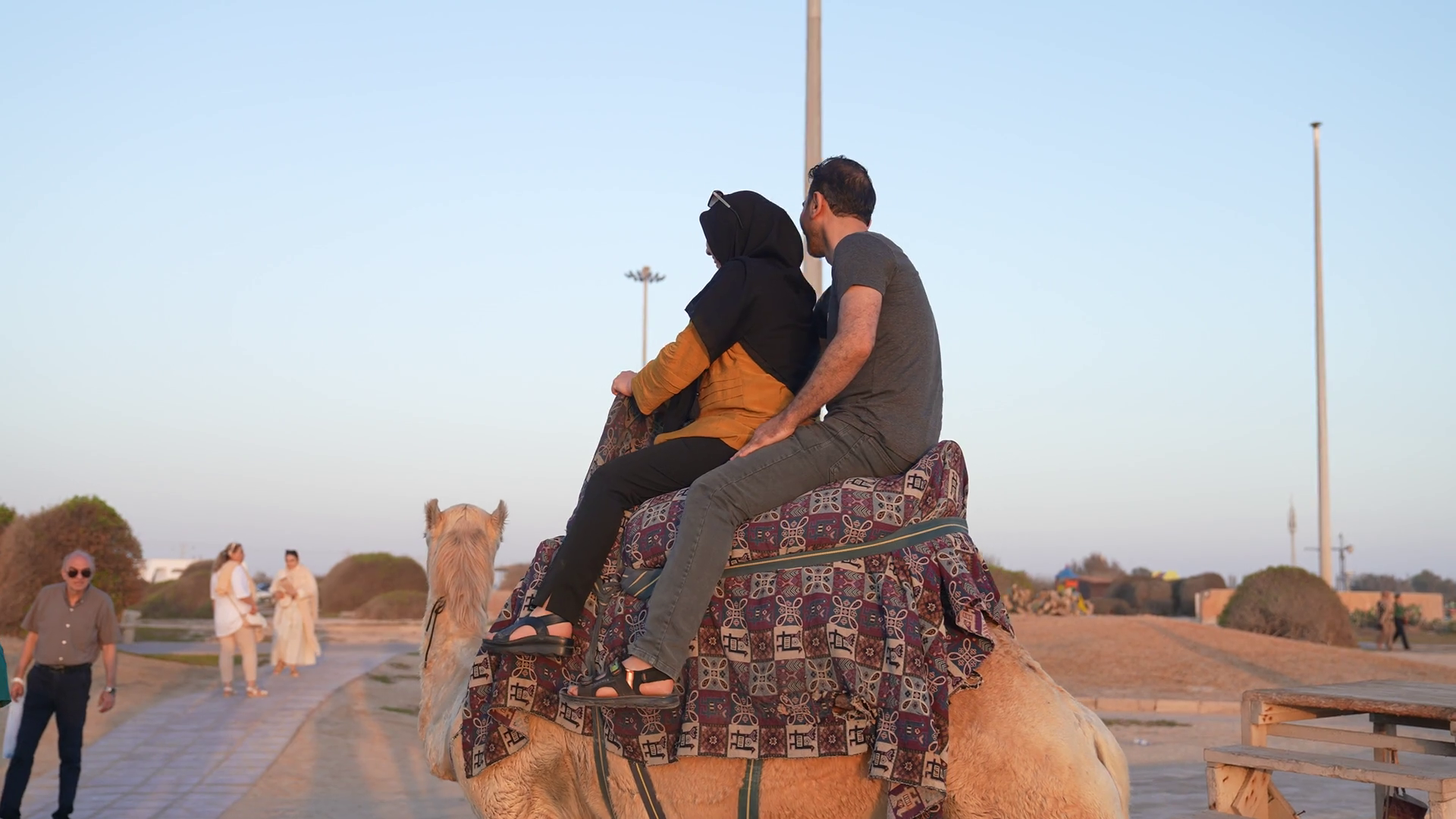 Camel Ride Along Beach Sunset Stock Footage SBV-352076670 - Storyblocks
