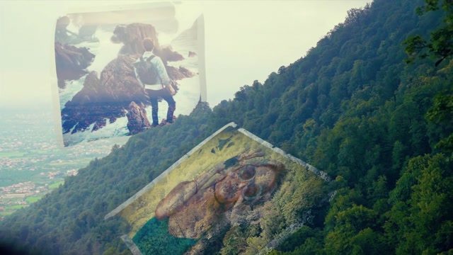 Royalty-Free Templates - Storyblocks