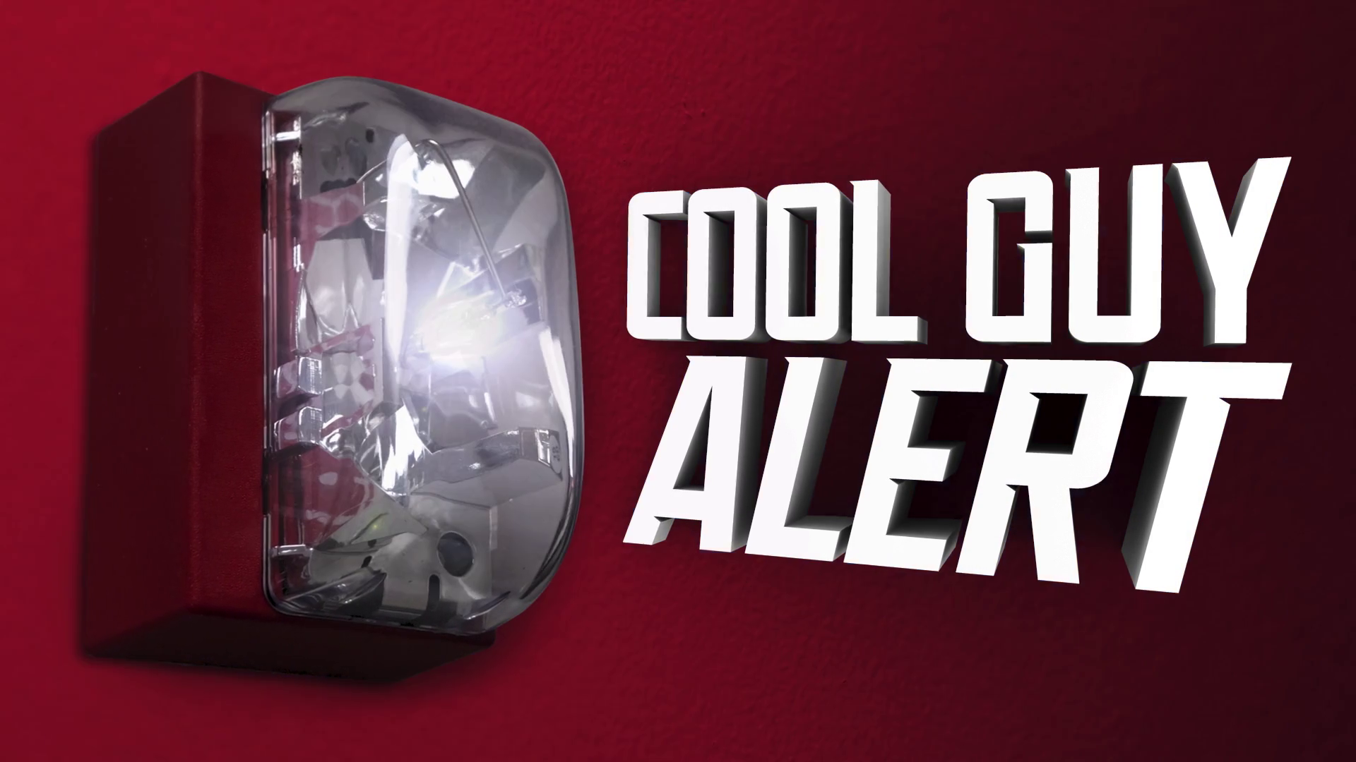 Cool Guy Alert Meme Funny Ironic Humor Stock Motion Graphics SBV ...