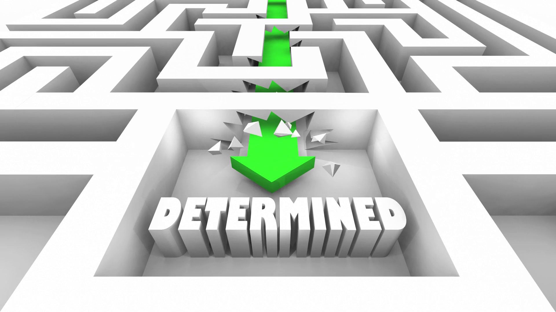 Determined Commited Determination Commitment Maze 3 D Animation Motion ...