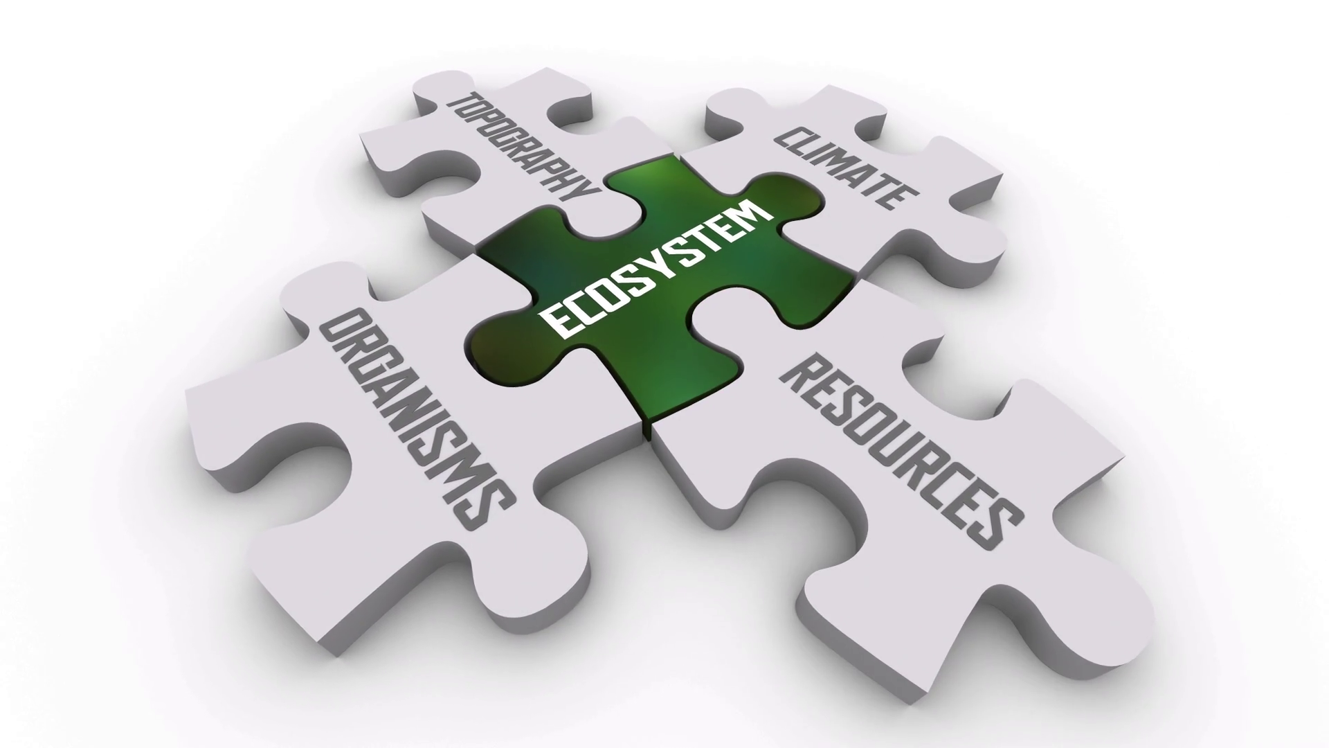 Ecosystems Puzzle Organisms Topography Stock Motion Graphics SBV ...