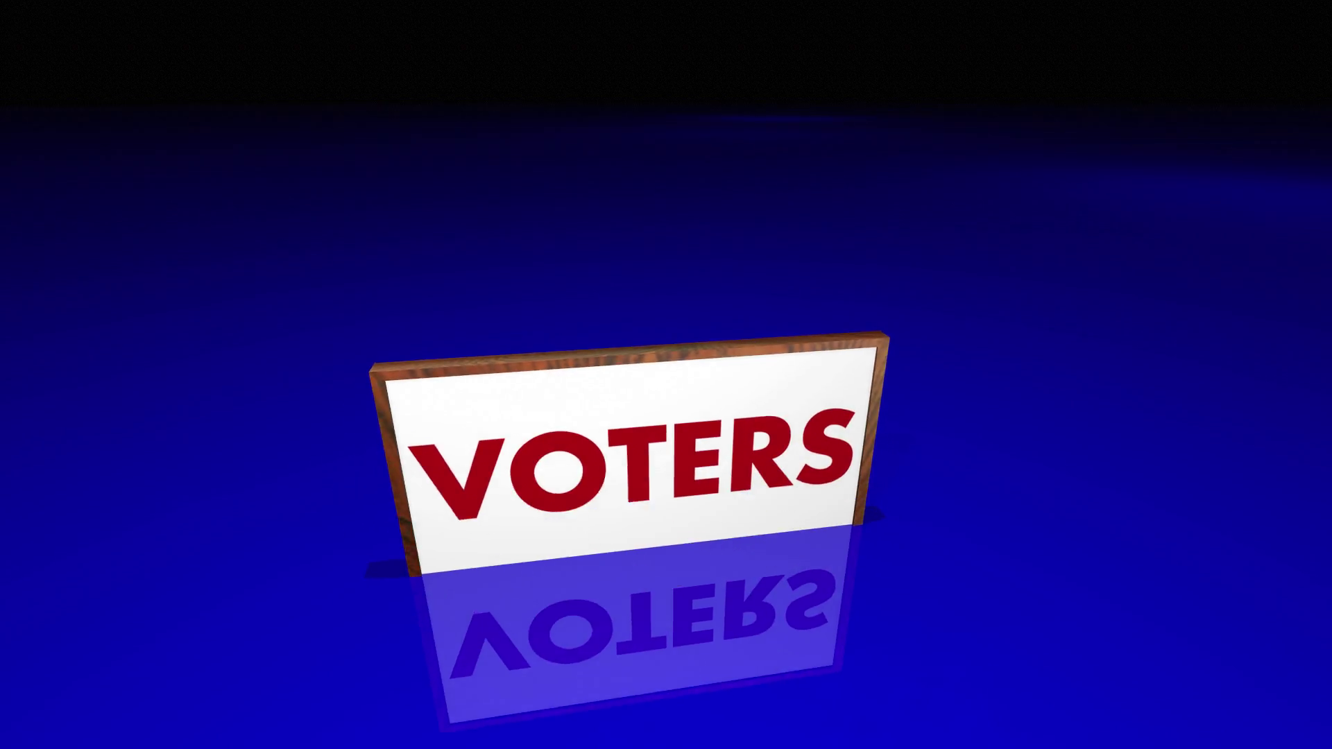 Voters People Groups Voting Election 3d Stock Motion Graphics SBV ...
