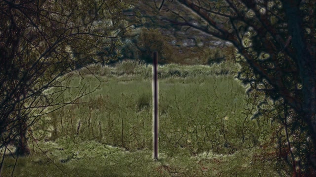 Wind Blowing Effect Stock Footage: Royalty-Free Video Clips - Storyblocks