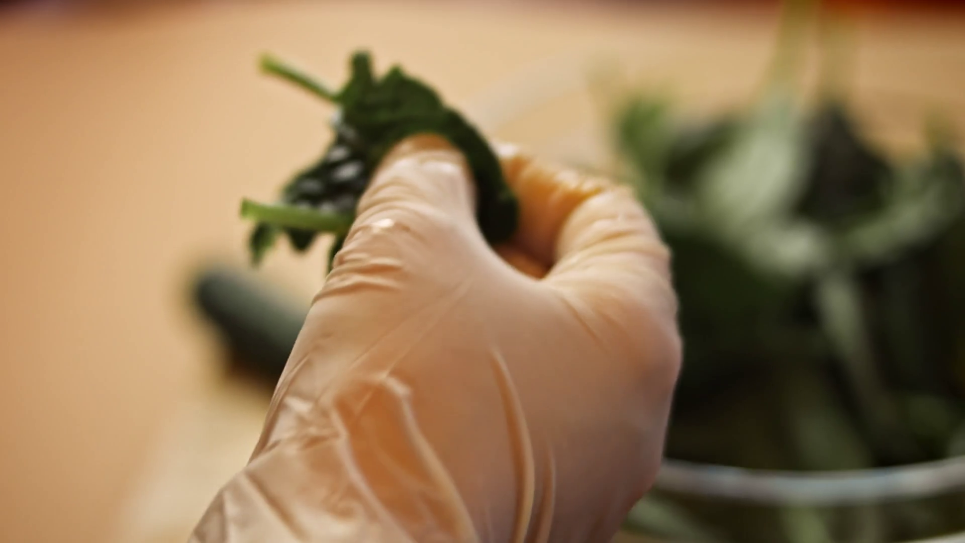 I Put Spinach In Transparent Bowl 4k Video Stock Footage SBV-347225641 ...