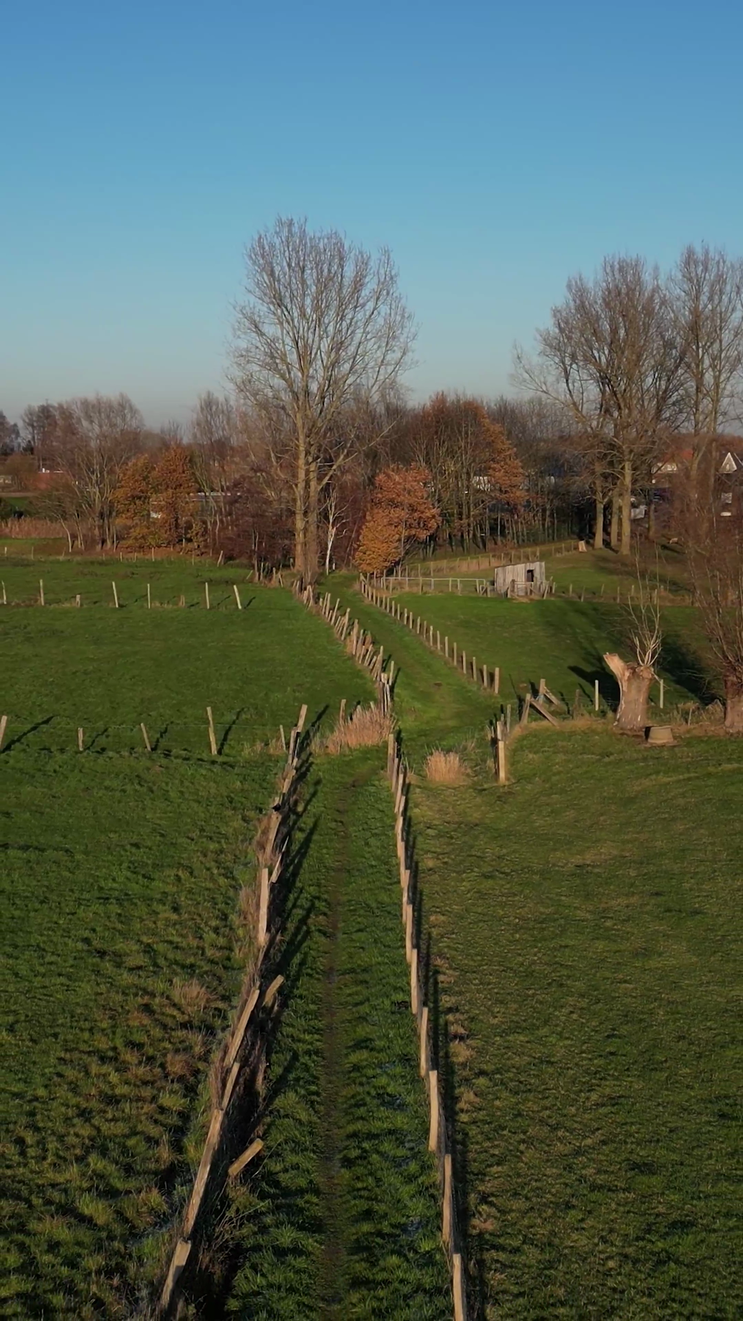 Countryside Path Walkway Green Field Stock Footage SBV-353198339 ...