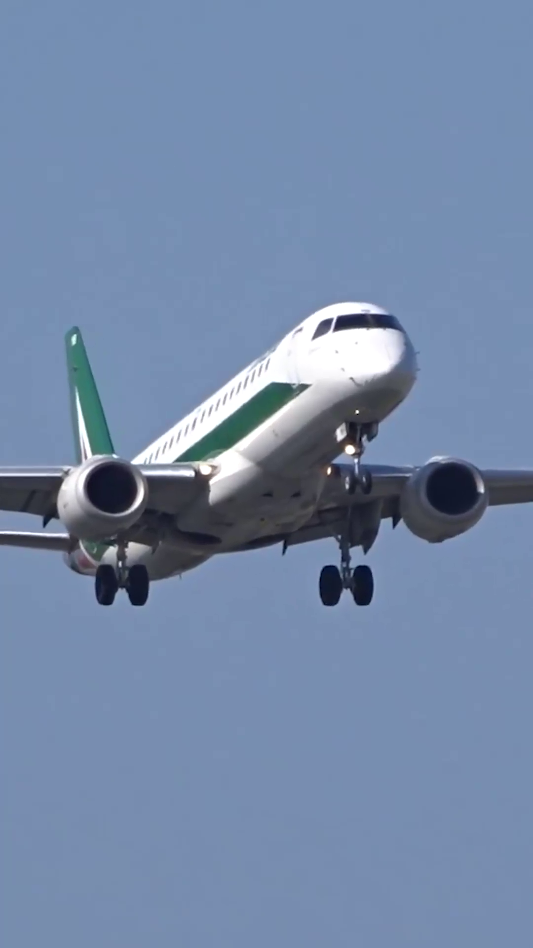 Generic Unmarked Airplane Aircraft Landing Stock Footage SBV-353238006 ...