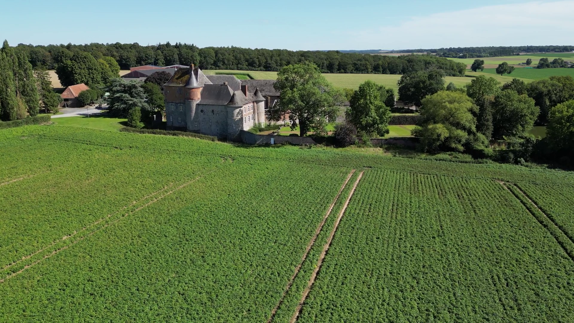 Medieval Castle Located Middle Fields Stock Footage SBV-352270871 ...