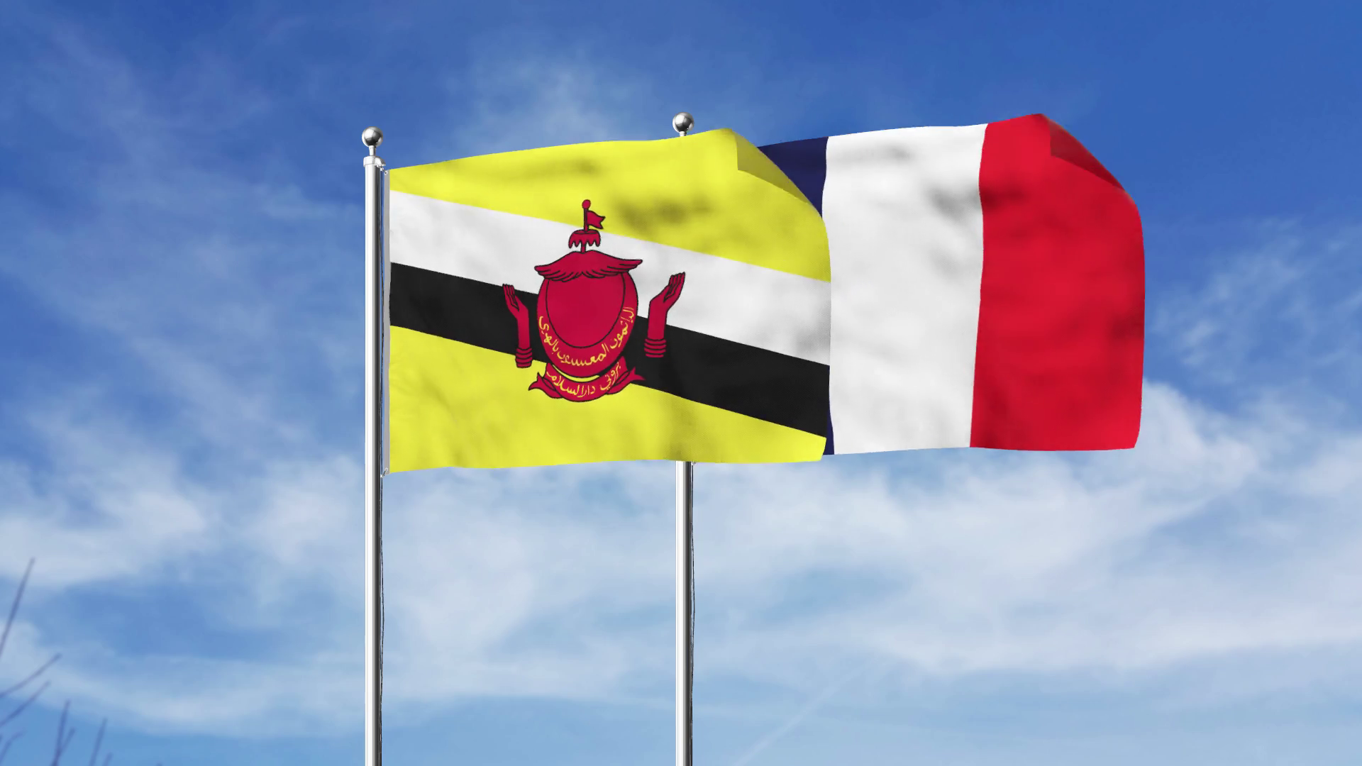 Brunei Falg France Flag Stock Motion Graphics SBV-348385606 - Storyblocks