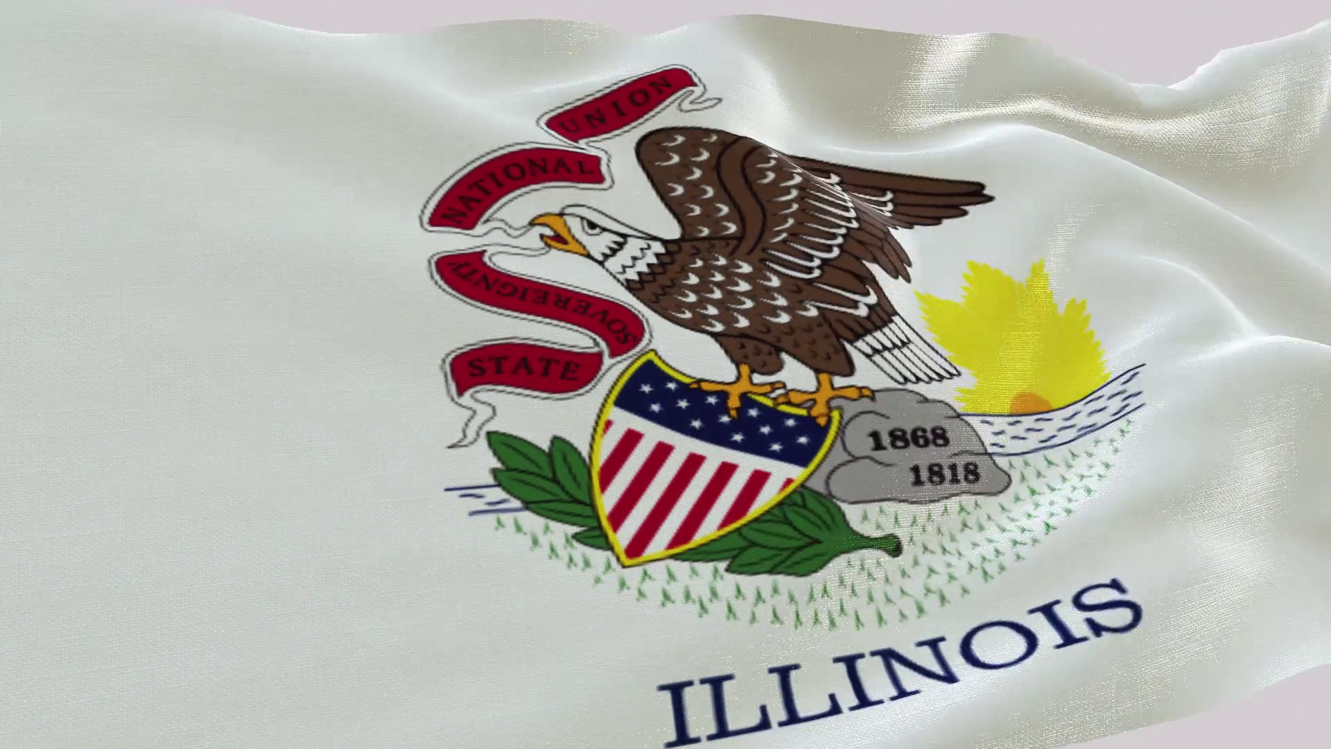 Flag Of Illinois State Stock Motion Graphics SBV-348436356 - Storyblocks
