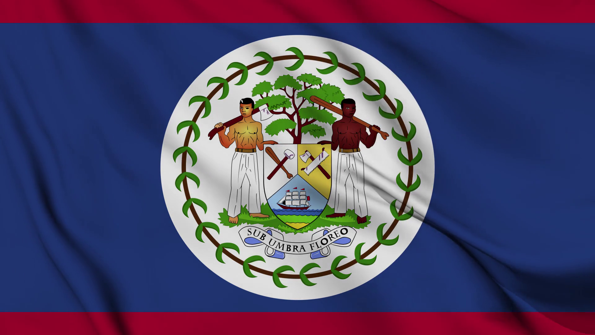 Flag Of Belize Stock Motion Graphics SBV-348810889 - Storyblocks