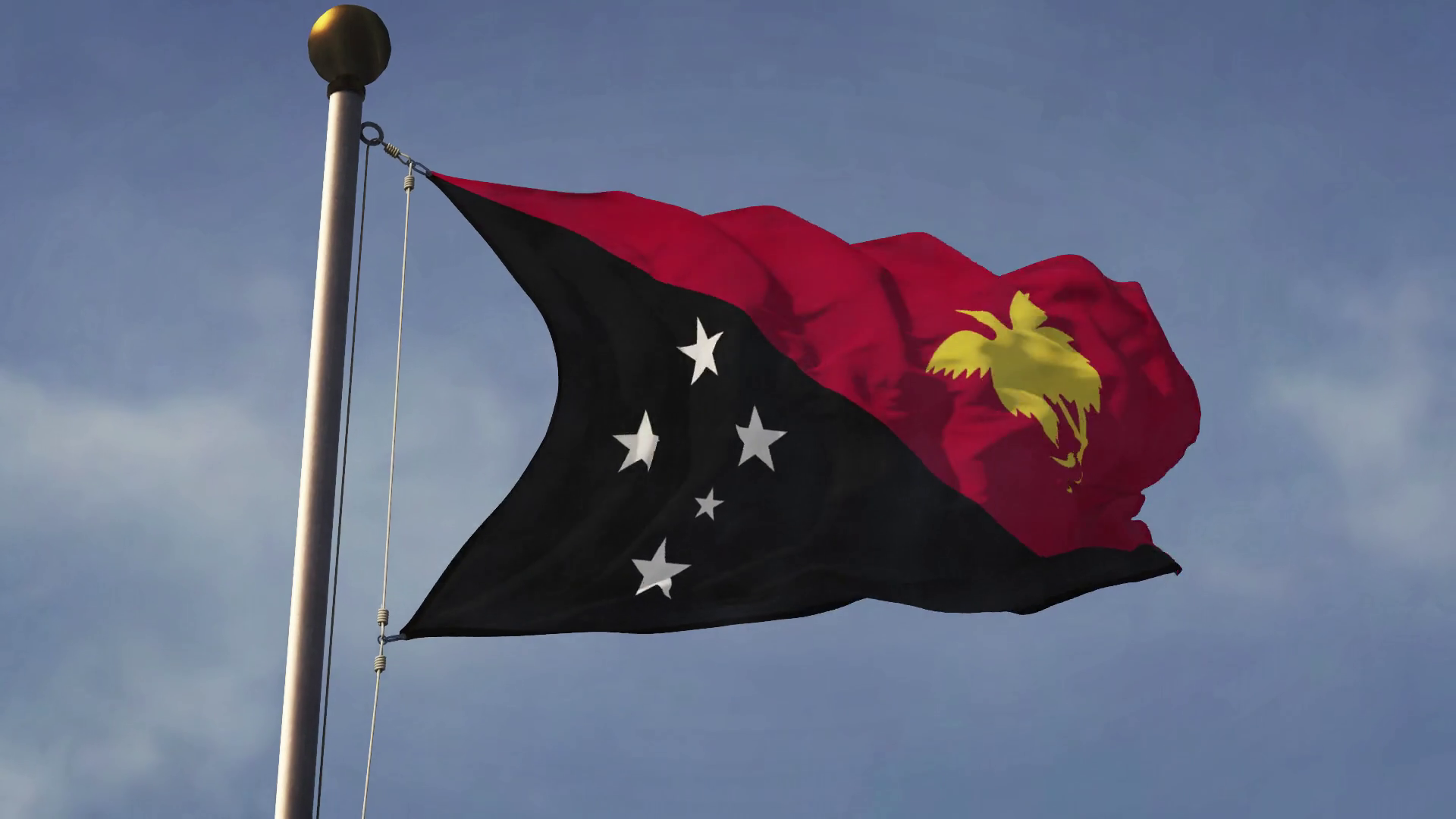 Papua new guinea flag