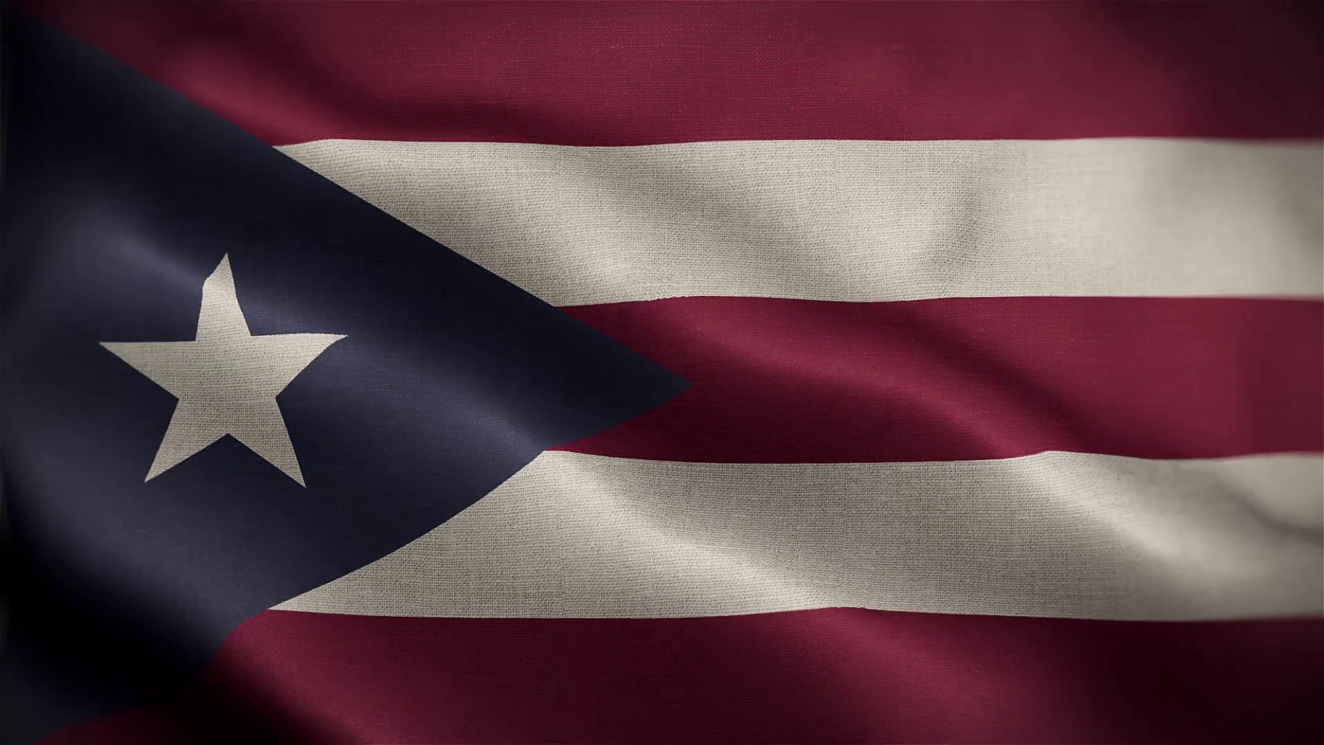 Puerto Rico Official Flag Waving In Wind Stock Motion Graphics SBV ...
