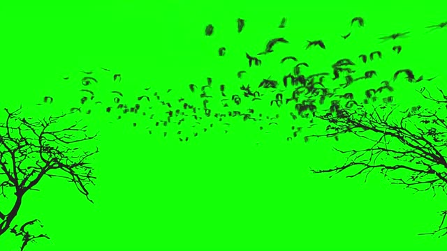 Horror Green Screen | Nature motion backgrounds - Storyblocks