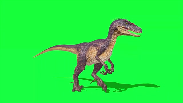 Monster Green Screen | Colors motion backgrounds - Storyblocks
