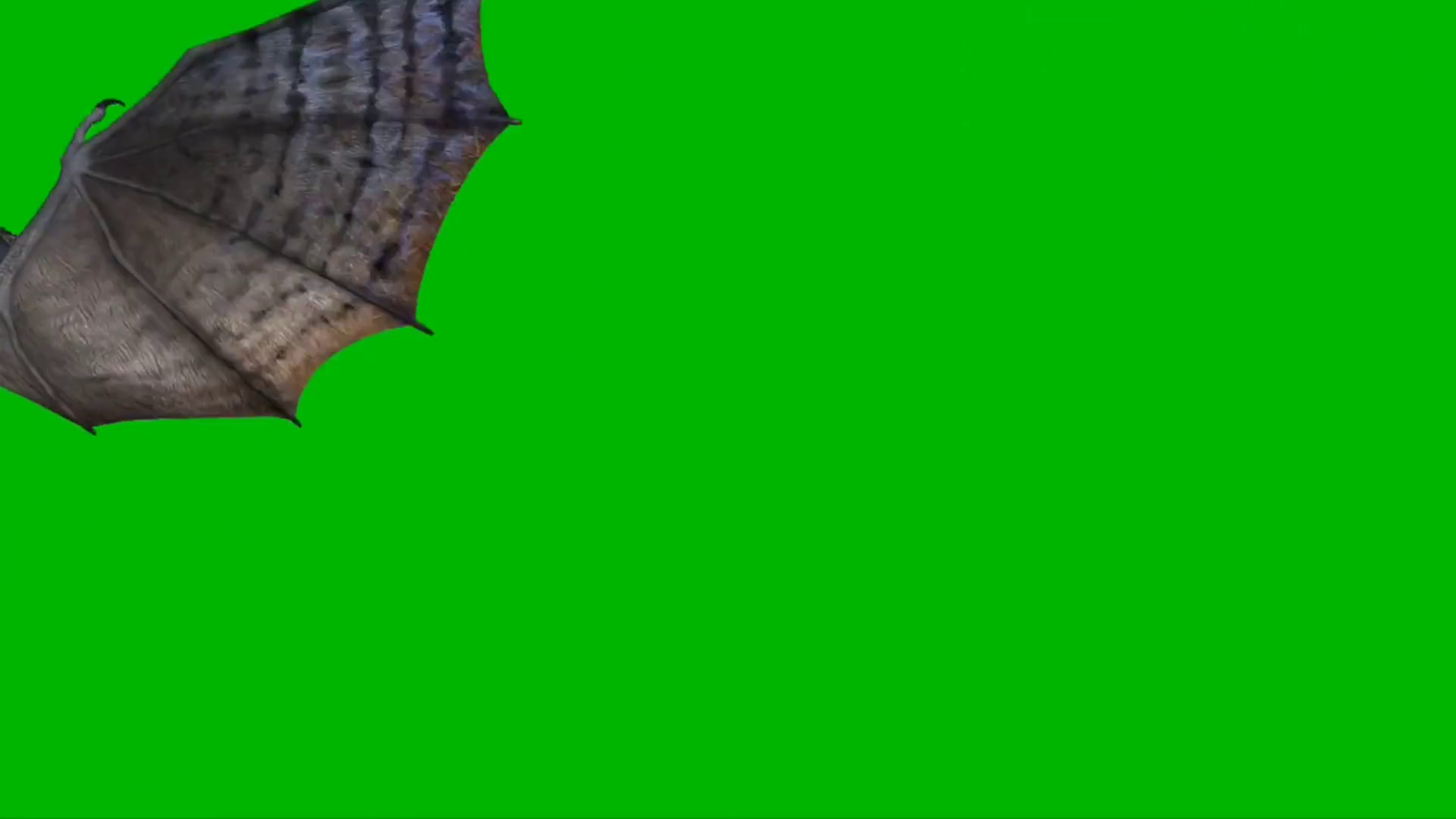 Dragon Flying On Green Screen 21 Stock Motion Graphics SBV-347519784 ...